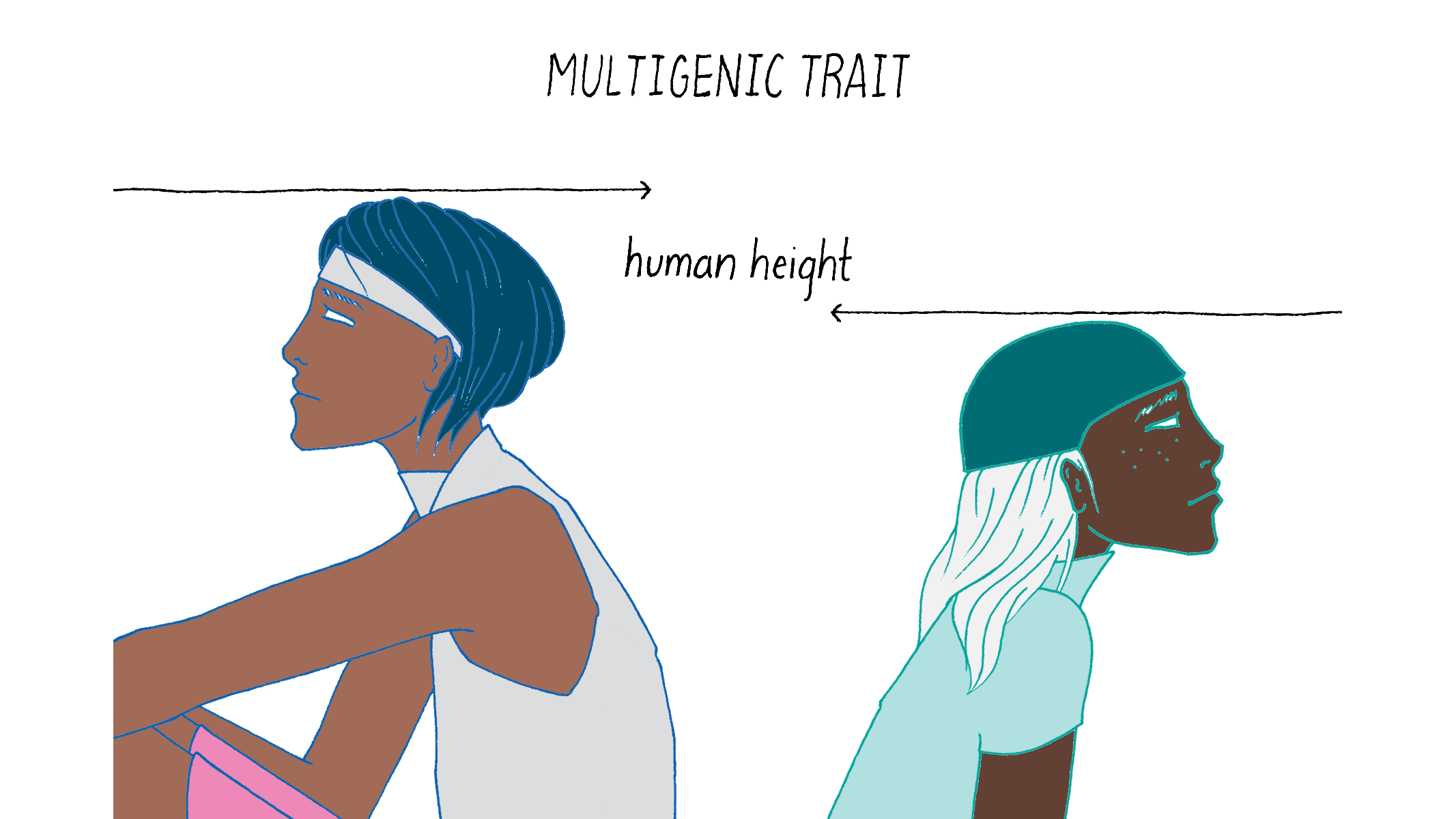 BioDictionary | Graphics & descriptions of biological terms
