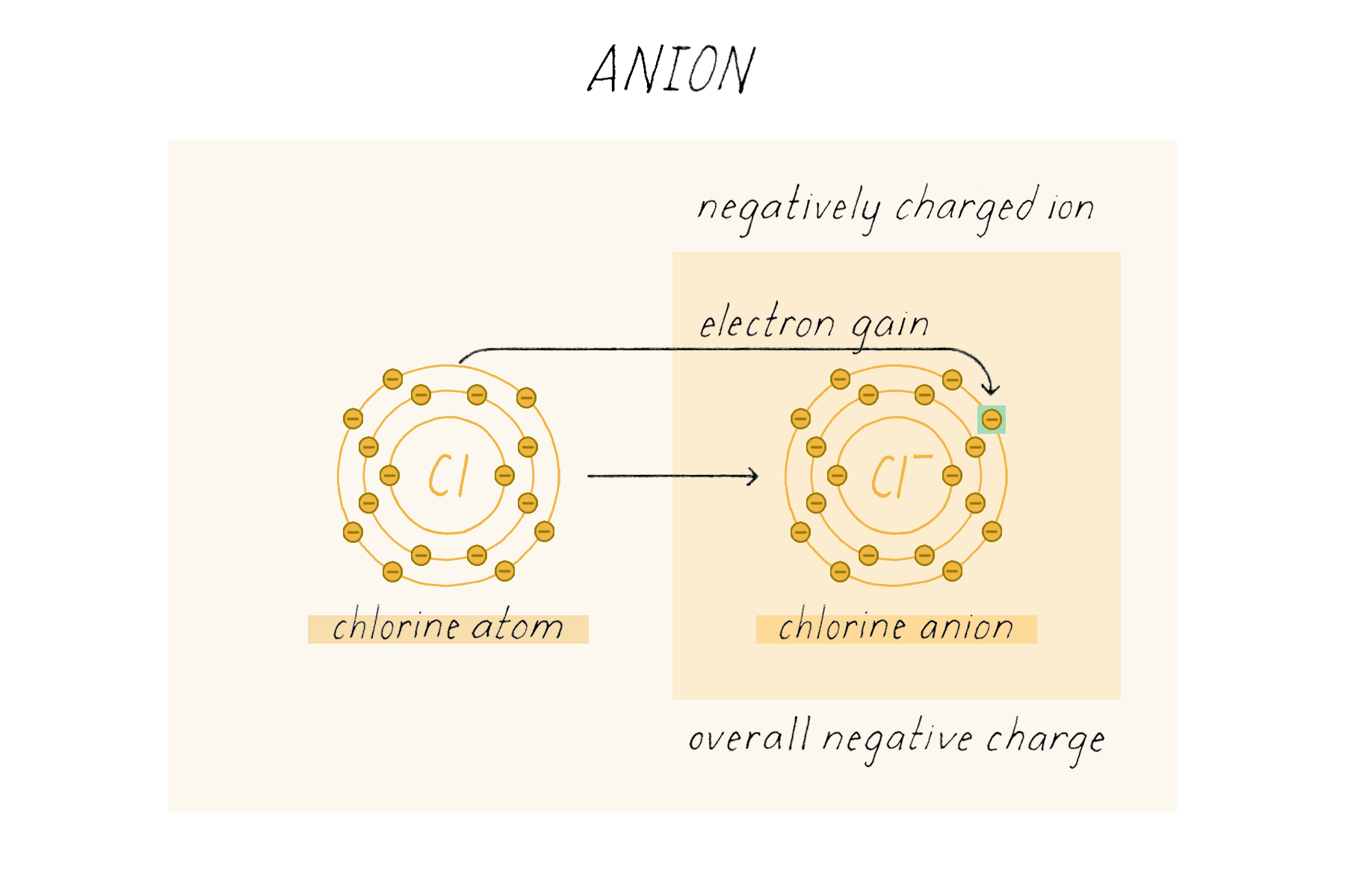 BioDictionary | Graphics & descriptions of biological terms
