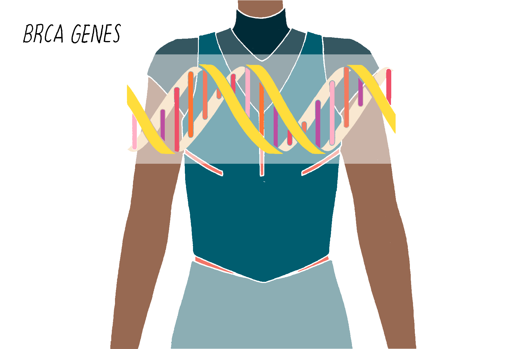 BioDictionary | Graphics & descriptions of biological terms