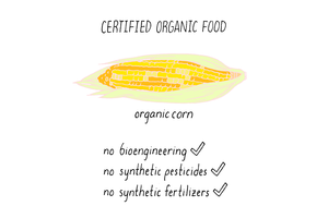 BioDictionary | Graphics & descriptions of biological terms