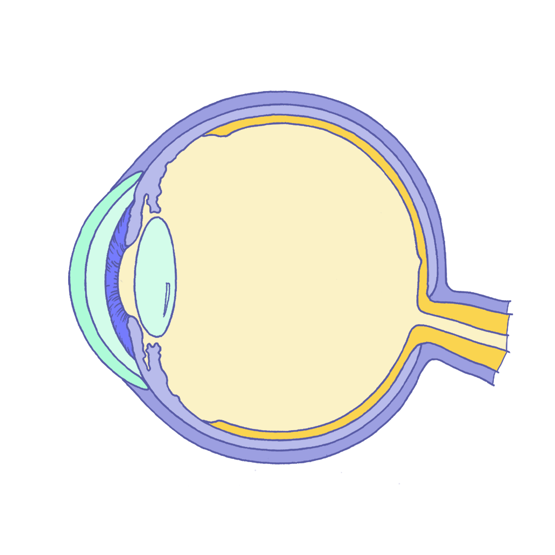 Cell Biology, Genetics & Neuroscience | Narratives & Key Experiments
