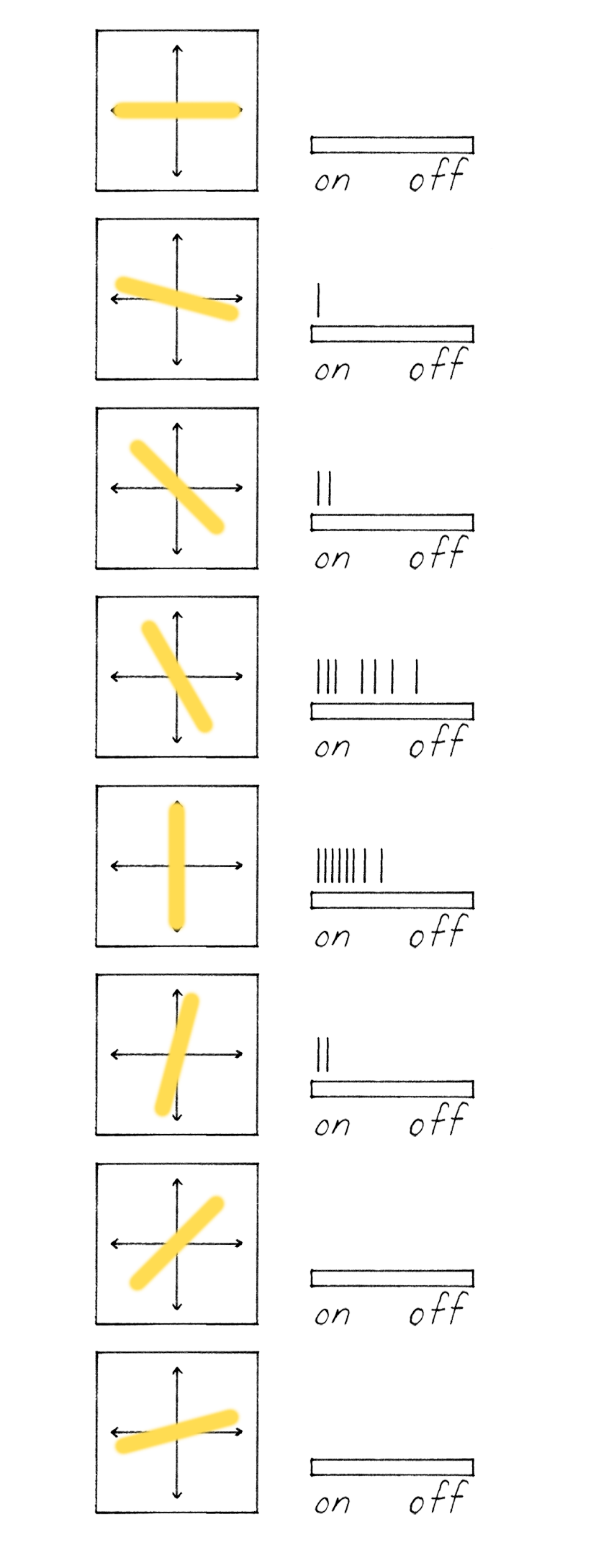 Cell Biology, Genetics & Neuroscience | Narratives & Key Experiments