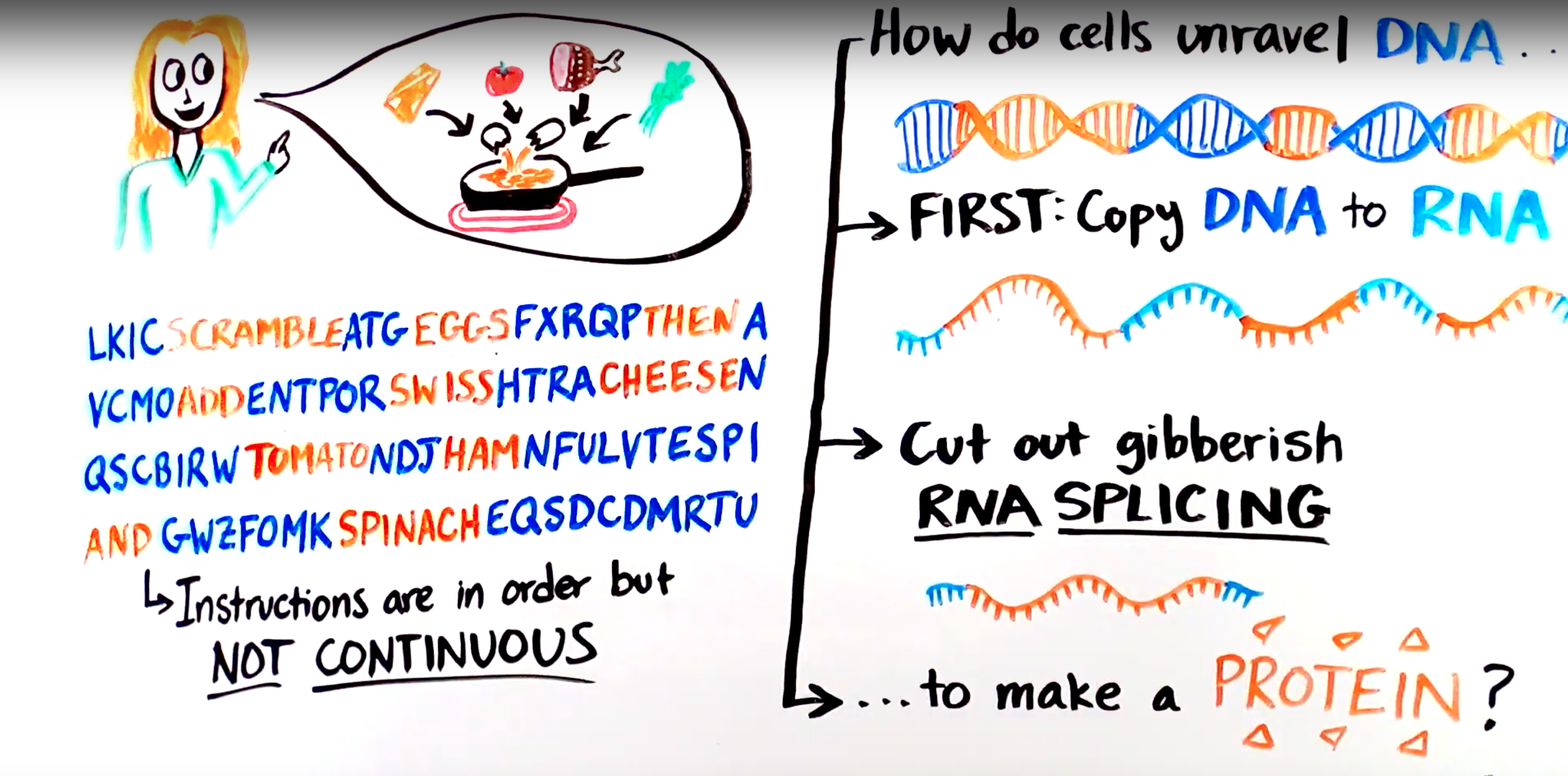 CRISPR-Cas | Genome Editing Revolution | by Rodolphe Barrangou