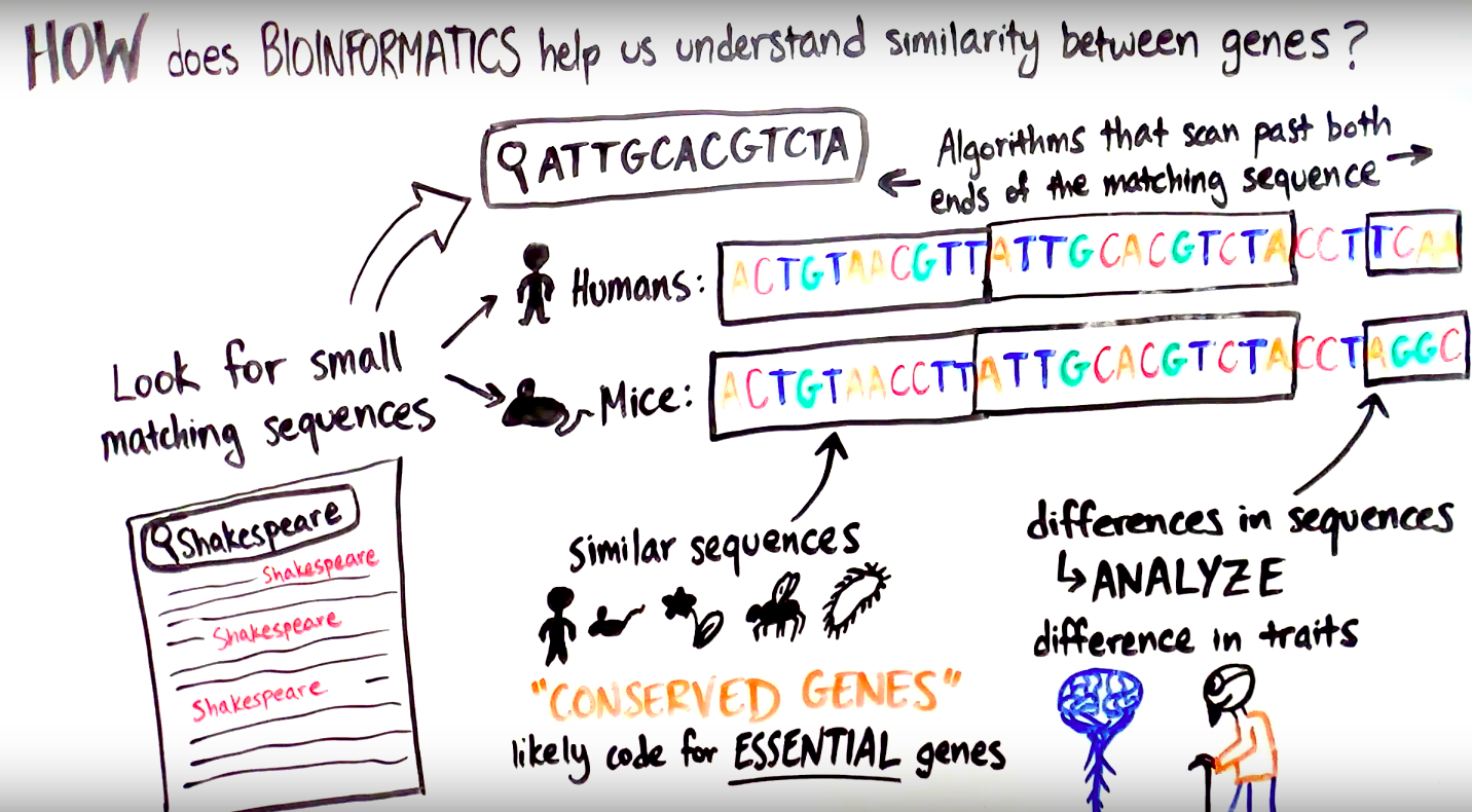 CRISPR-Cas | Genome Editing Revolution | by Rodolphe Barrangou
