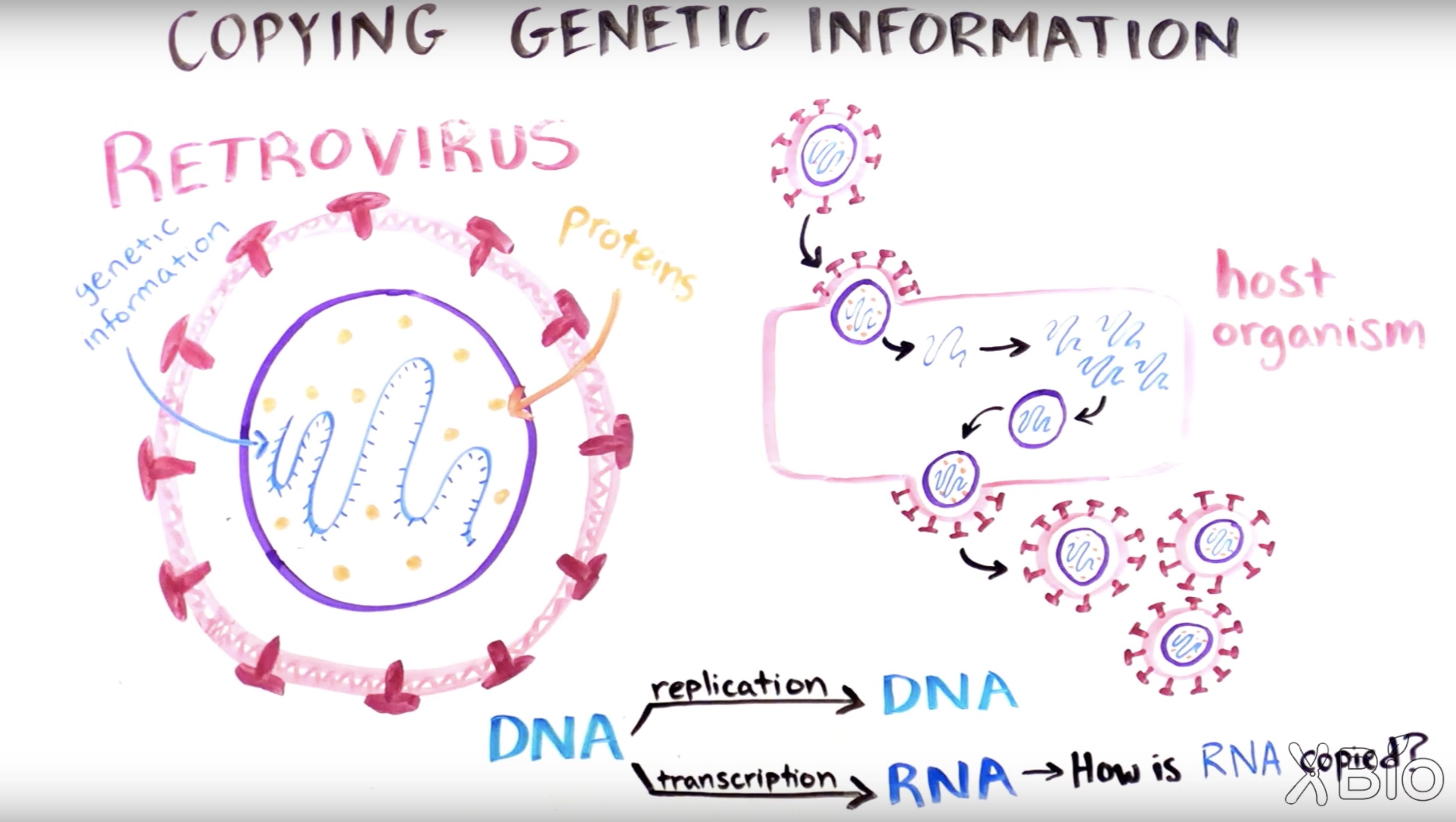 The Genetic Basis of Cancer | by J. Michael Bishop
