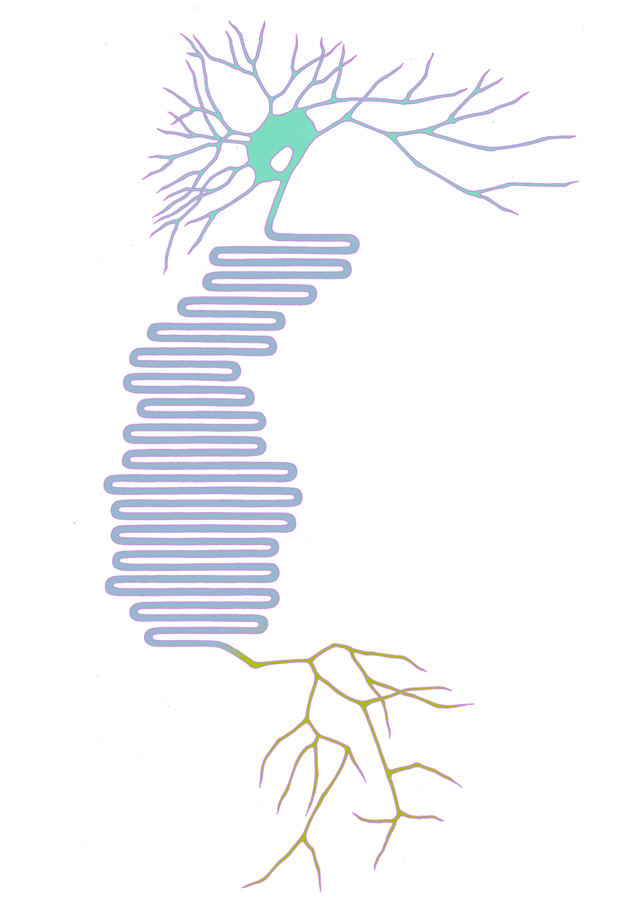 Motility in a Test Tube | by Ron Vale