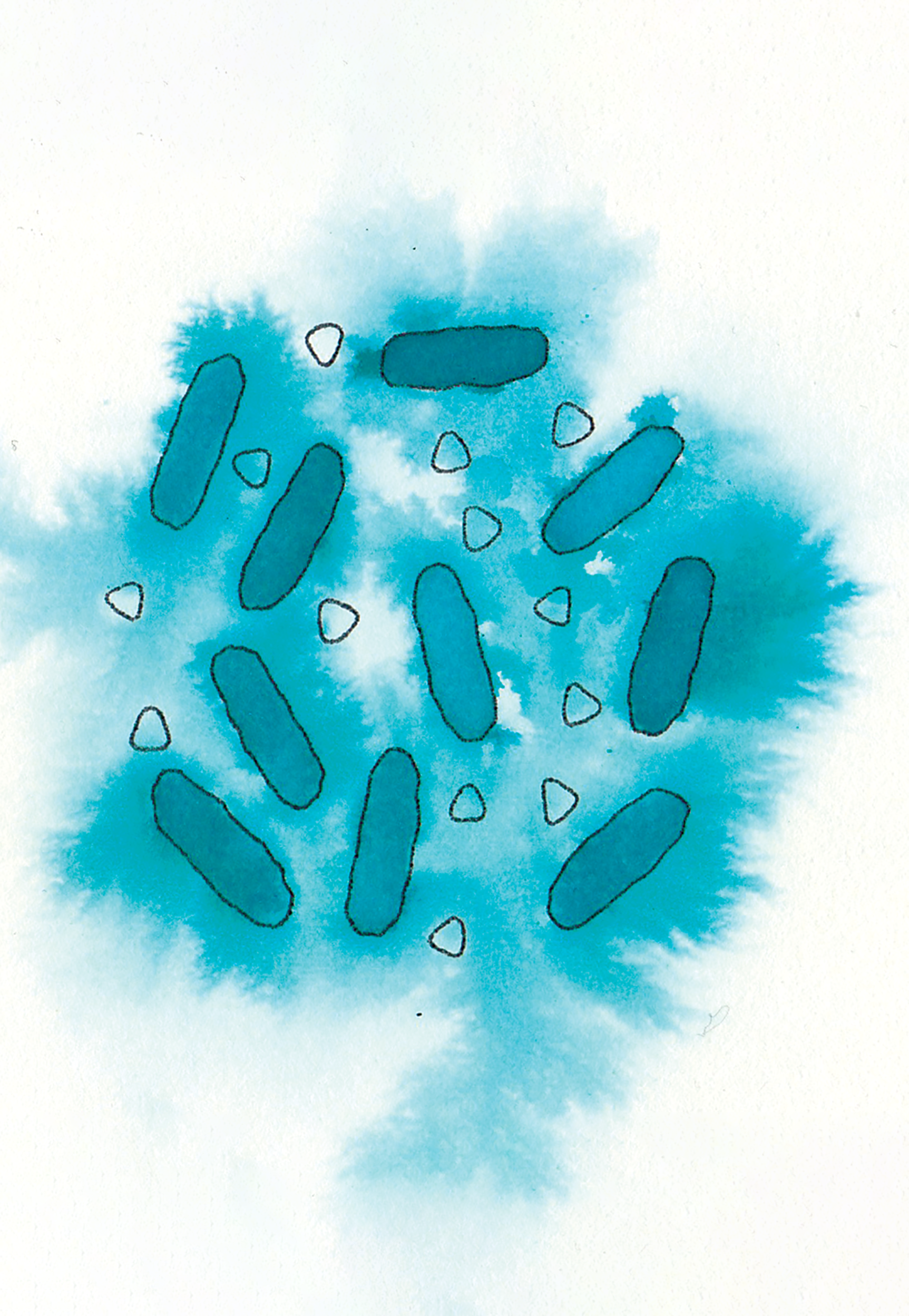 Quorum Sensing | Bacterial Communication | by Bonnie Bassler