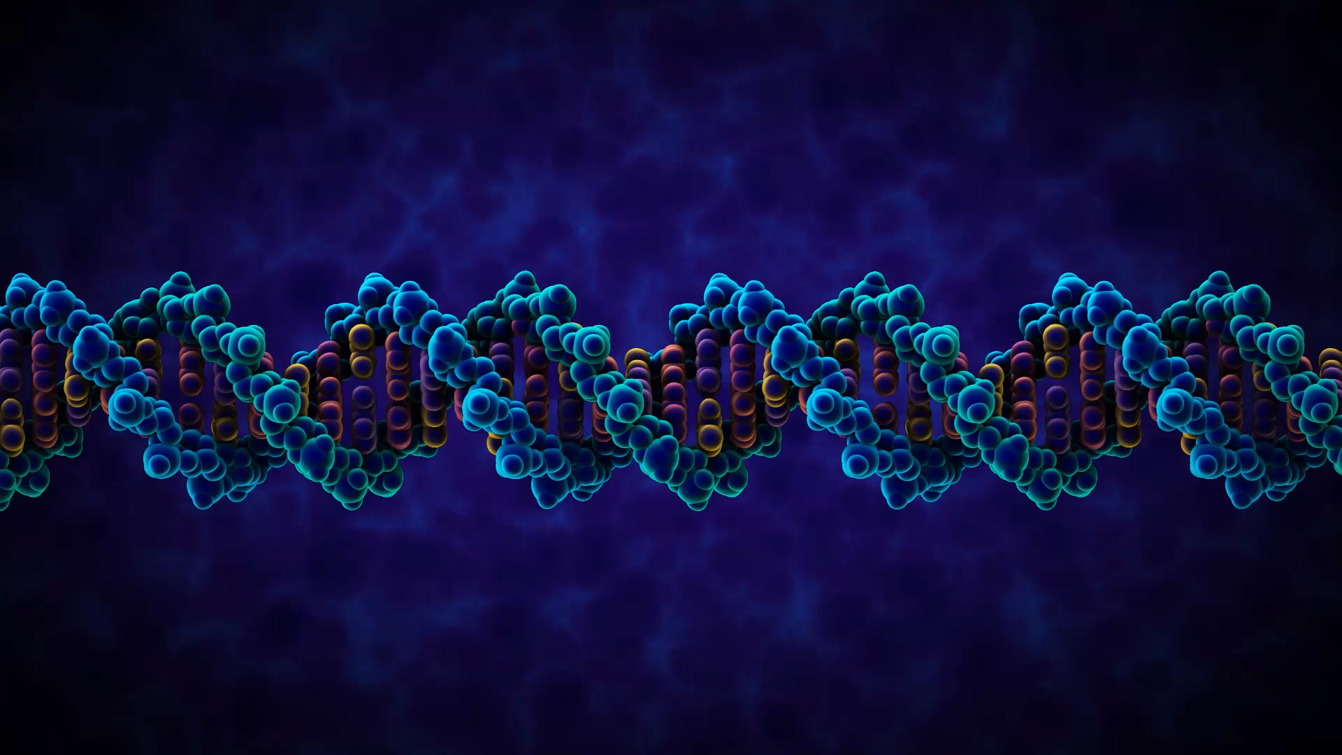 The Structure of DNA | by Ron Vale