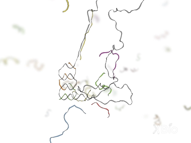 The Structure of DNA | by Ron Vale